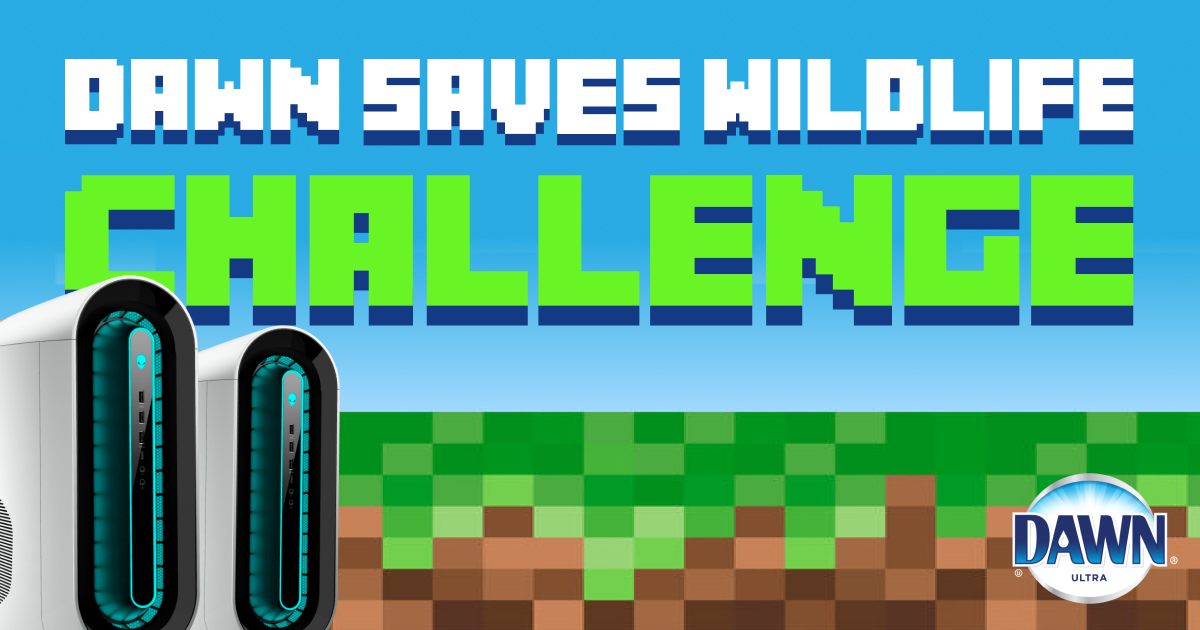 Dawn Challenge